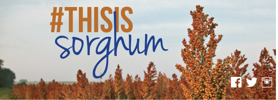 National Sorghum Producers