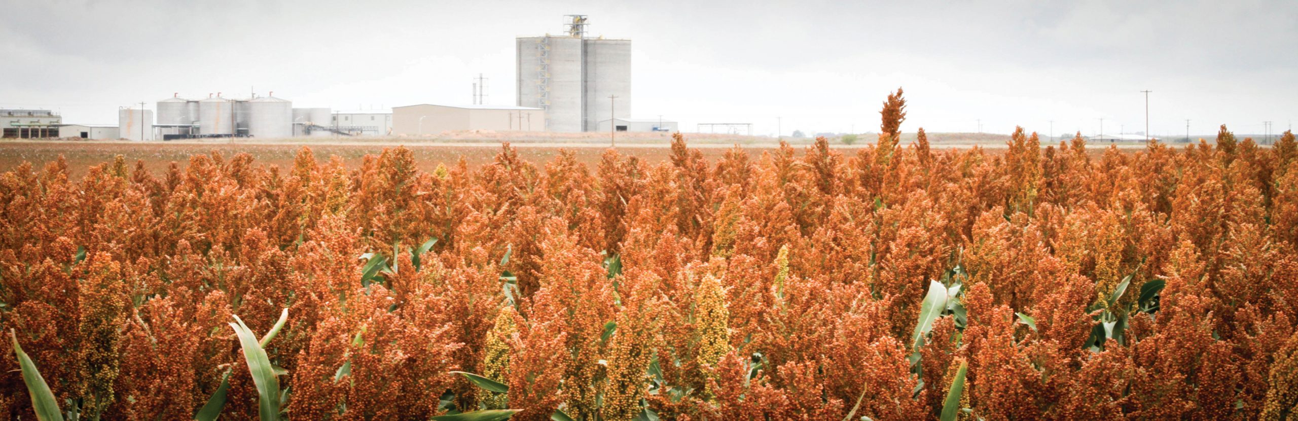 Biofuel & Ag Leaders Call on White House to Provide Relief at the Pump ...