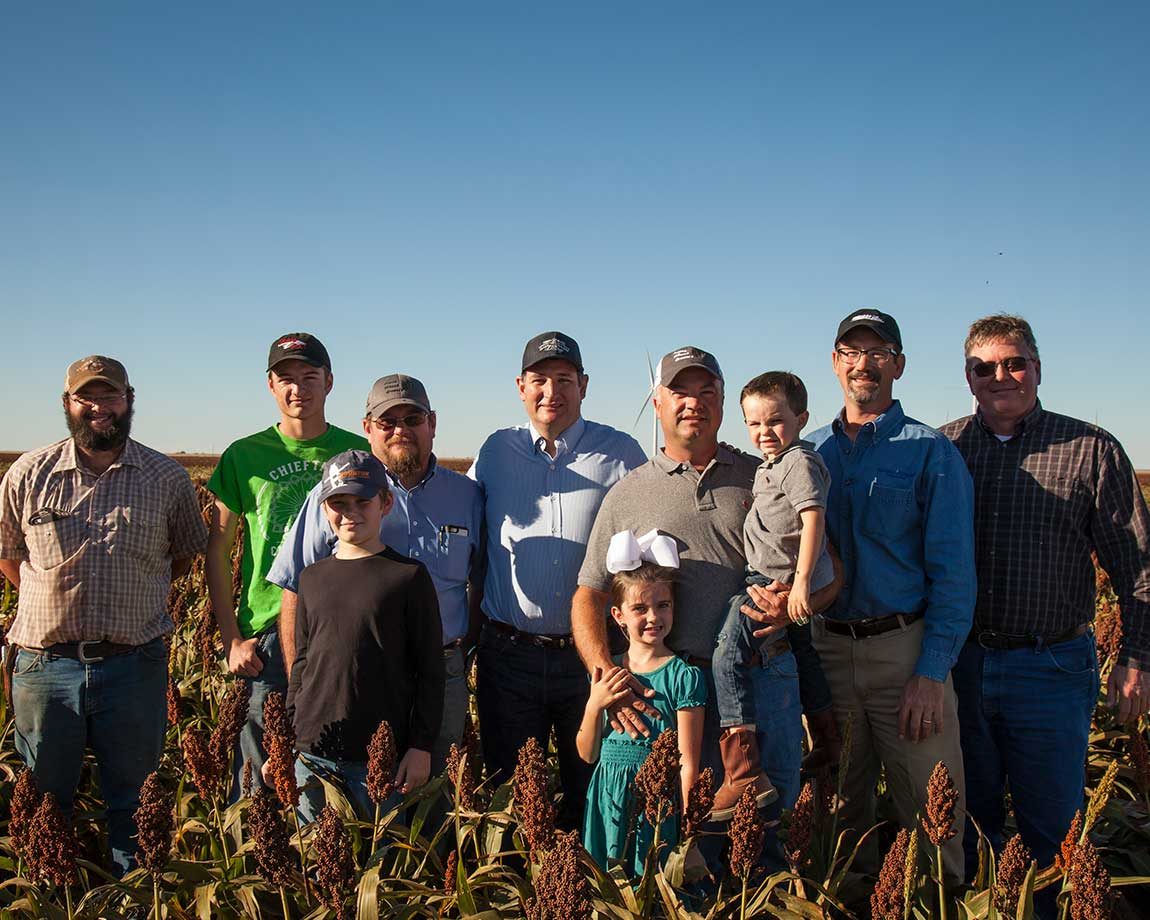 Producer Membership | National Sorghum Producers